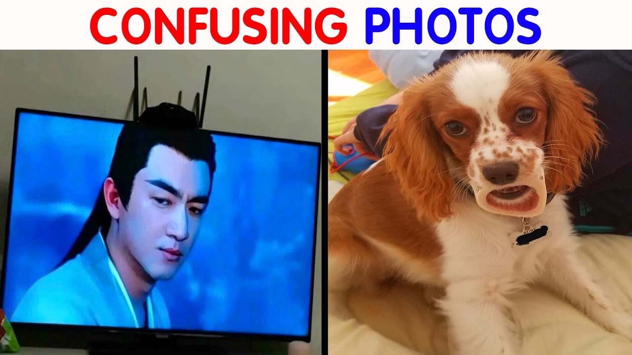 Confusing Photos That You Might Need To Look At Twice To Understand ...
