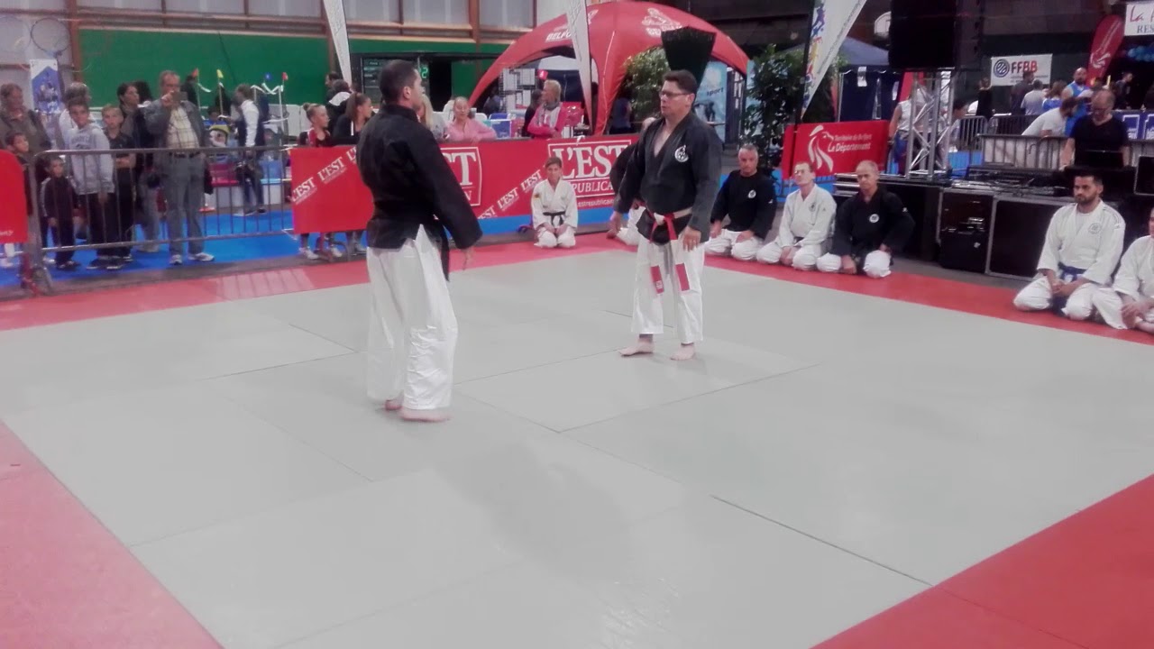 Ecole de Combat de Belfort - Sportissimo 2017 Bujutsu - YouTube