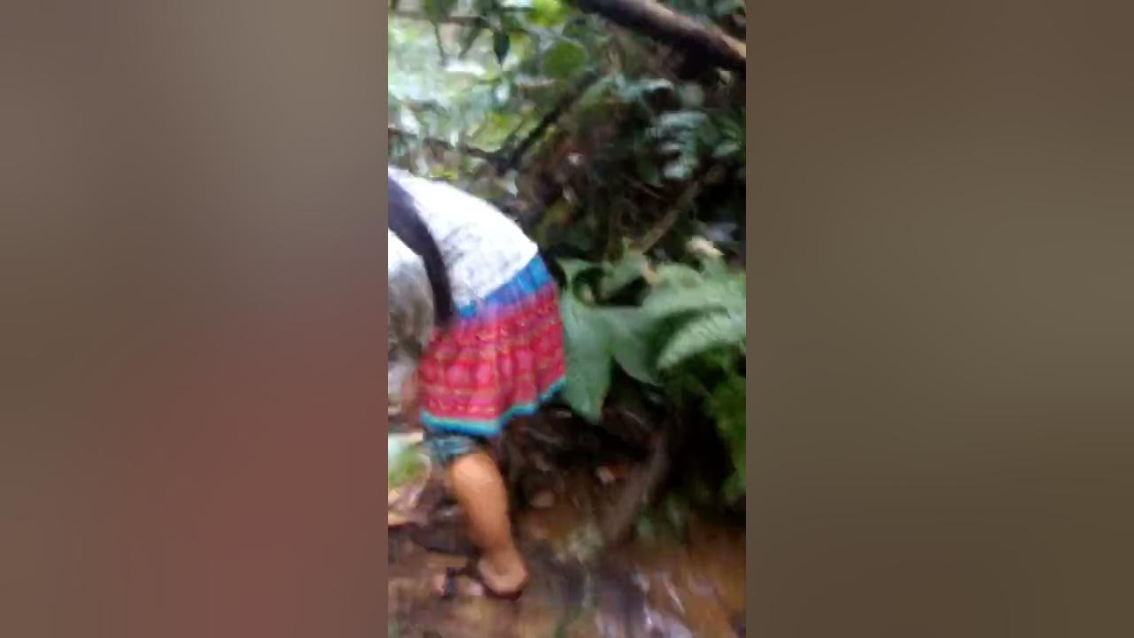 yuav tsaug ntuj wb ib niam txiv mus khaws txiv qaub noj nawb - YouTube