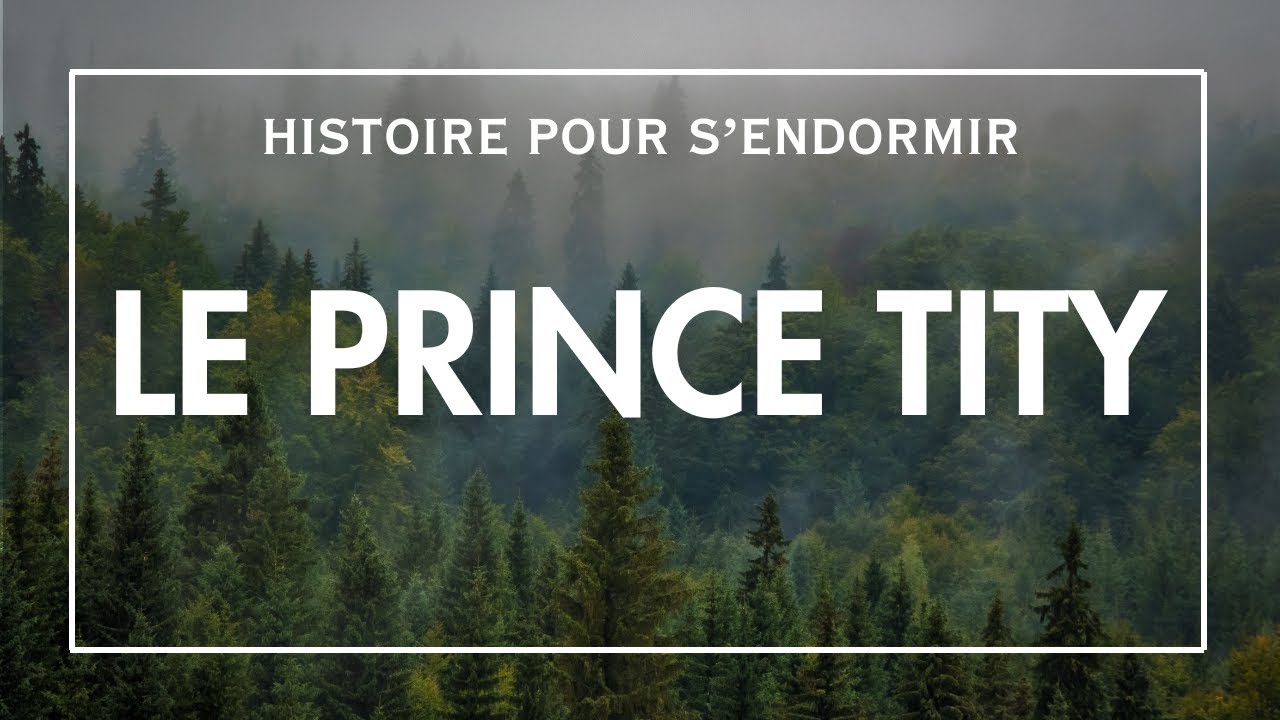 Le Prince Tity | Conte pour dormir | Histoire pour s'endormir | Conte ...