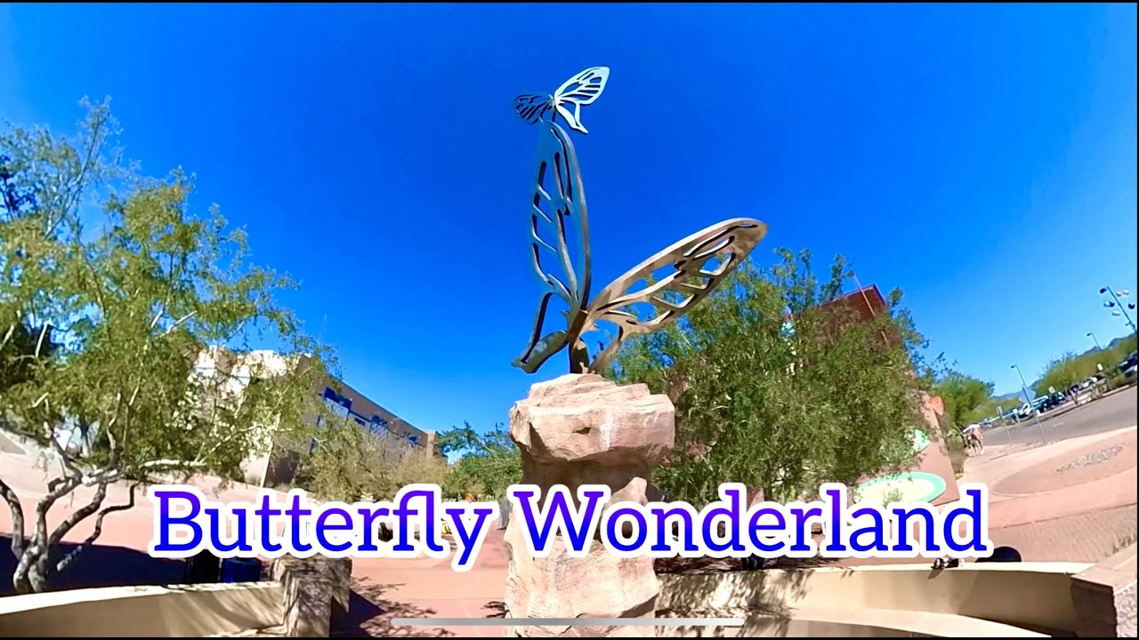 Butterfly Wonderland Scottsdale, Arizona - YouTube