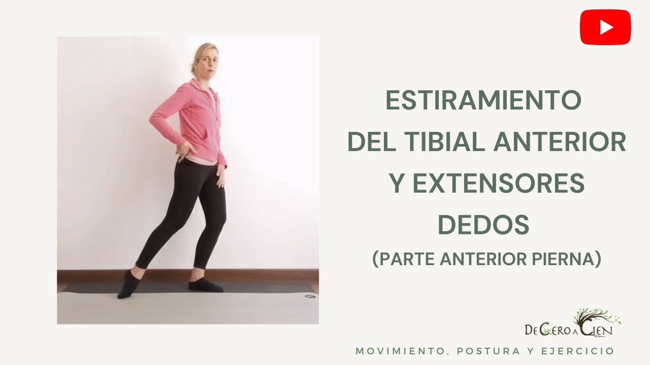 Estiramiento De La Musculatura Anterior Del Pie Y Tobillo – SMMFR