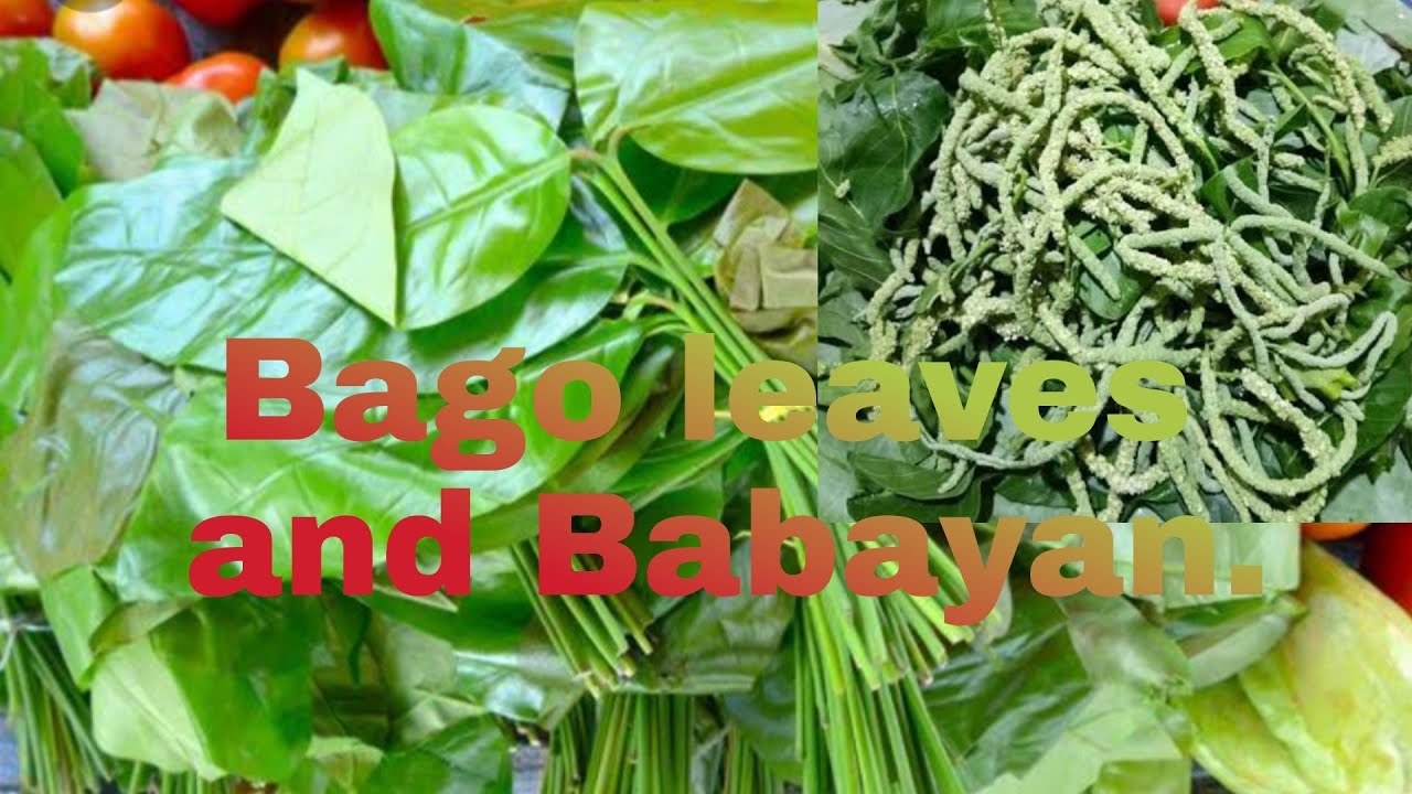Bago leave's at Babayan sahog ay sardinas ulam na. - YouTube