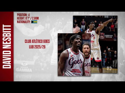 David Nesbitt - Highlights 2025 - YouTube