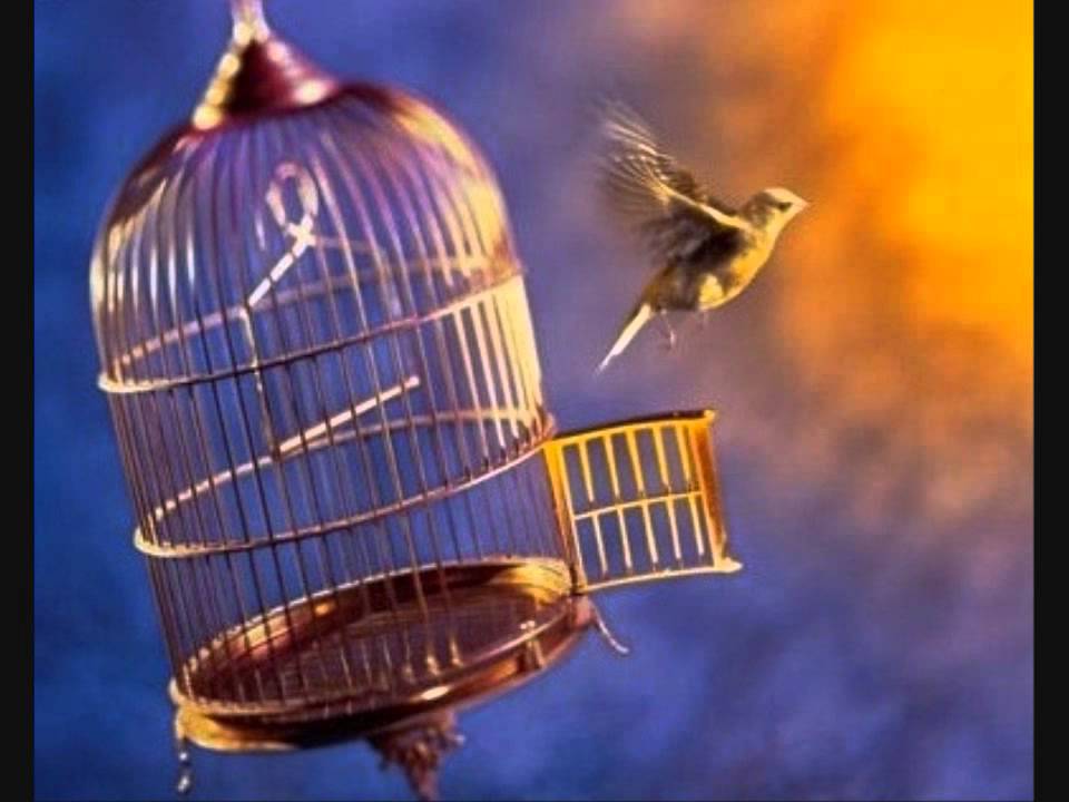 Ali Thompson - Live Every Minute - YouTube