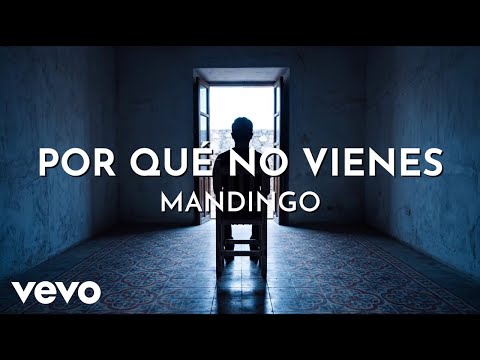 Mandingo - Por Qué No Vienes (Visualizer)