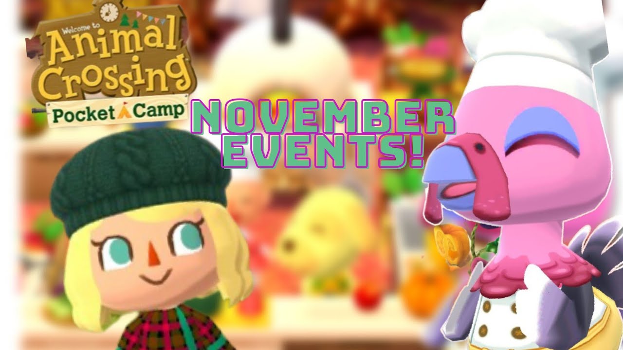 November Events 2021! 🧁 - Animal Crossing Pocket Camp #acpc - YouTube