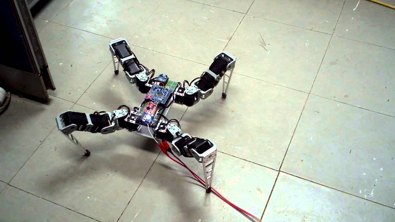 Quadruped robot - 정보행, 속보, 회전 - YouTube