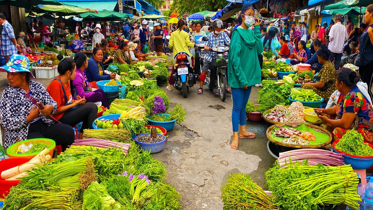 Food Rural TV, Amazing Street Food Tour Scenes, Street Food Daily Fresh ...