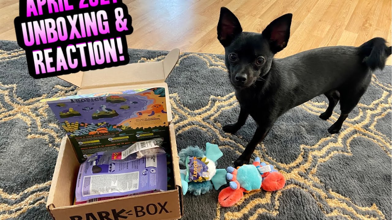 APRIL 2021 BARKBOX UNBOXING & DOGGY REACTION! - YouTube