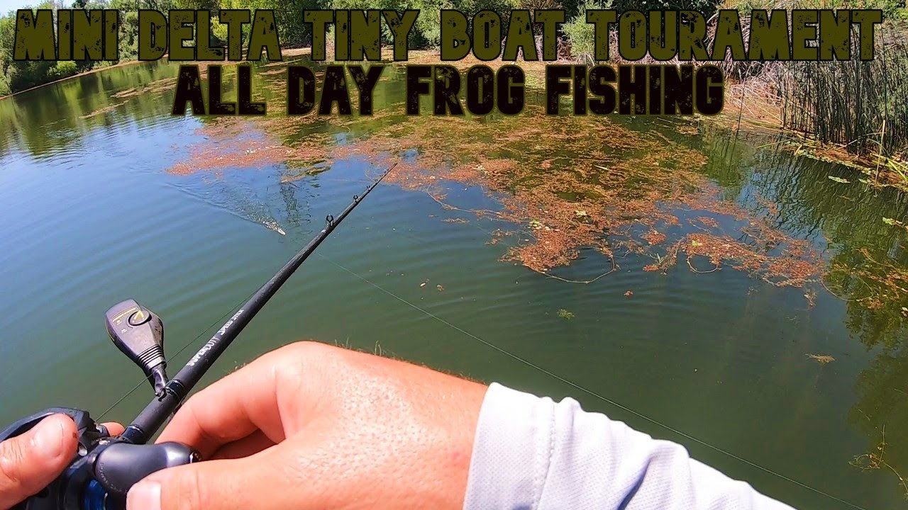 Mini Delta Tiny Boat Bass Tournament | All Day Frog Fishing - YouTube