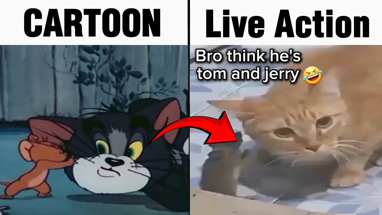 Tom And Jerry Whispering Scene In Real life....( Ada Ada Saja😂 ...