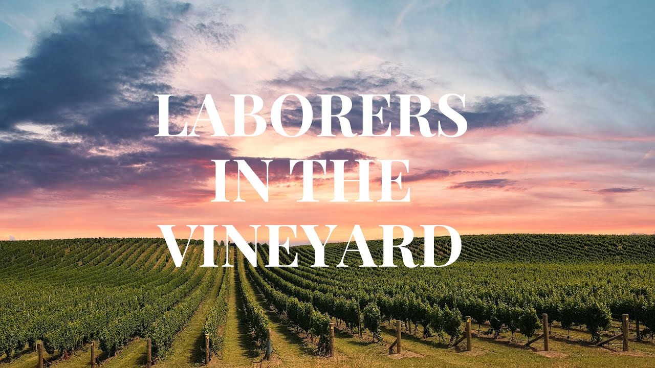Laborers In The Vineyard - YouTube