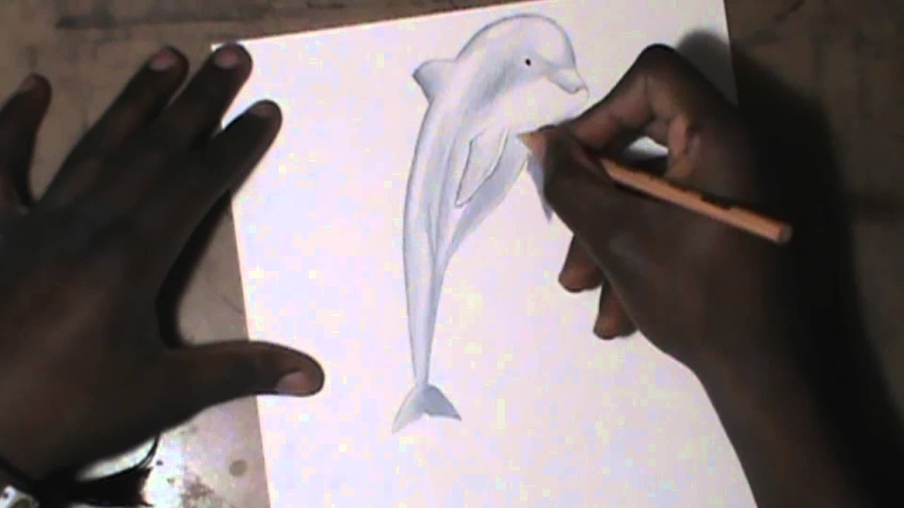 Drawing a 3D Dolphin - ILLUSION DRAWING TRICK! - YouTube