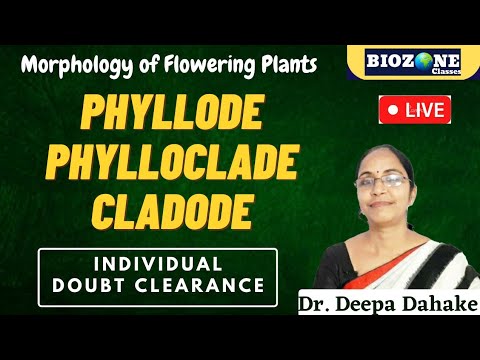 NEET 2021 l Phyllode, Phylloclade, Cladode | Morphology Flowering ...