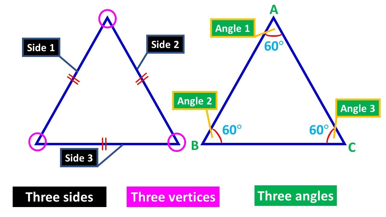 Triangle Types Of Triangle Properties Of Triangle Maths Triangle triangle-types-of-triangle-properties-of-triangle-maths-triangle
