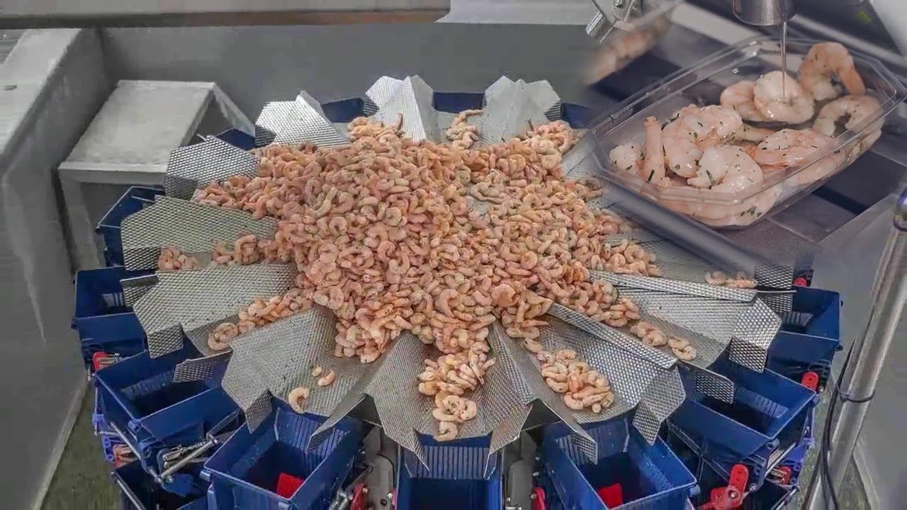 Amazing Food Industry Machines That Are At Another Level 4 | Food ...