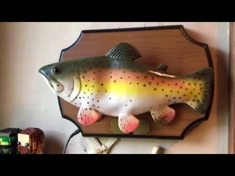Rare custom Terrence the Singing Trout! - YouTube