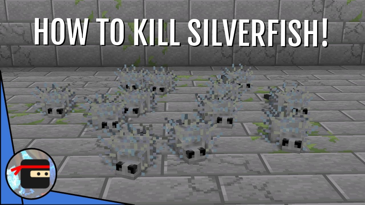 How To Kill Silverfish! | Minecraft Quick Tips - YouTube