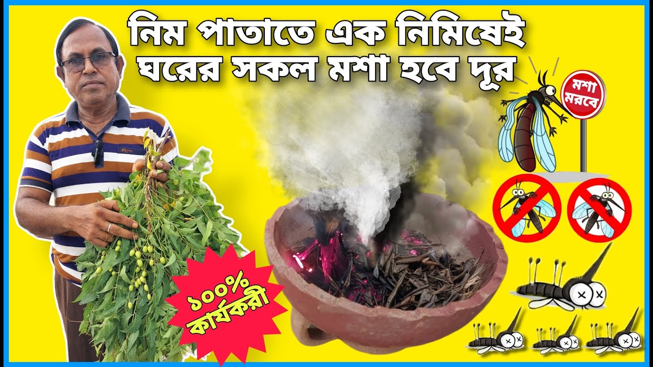 নিম পাতাতে এক নিমিষেই ঘরের সকল মশা হবে দূর - PIJUSH MALLICK @PijushMallick - YouTube