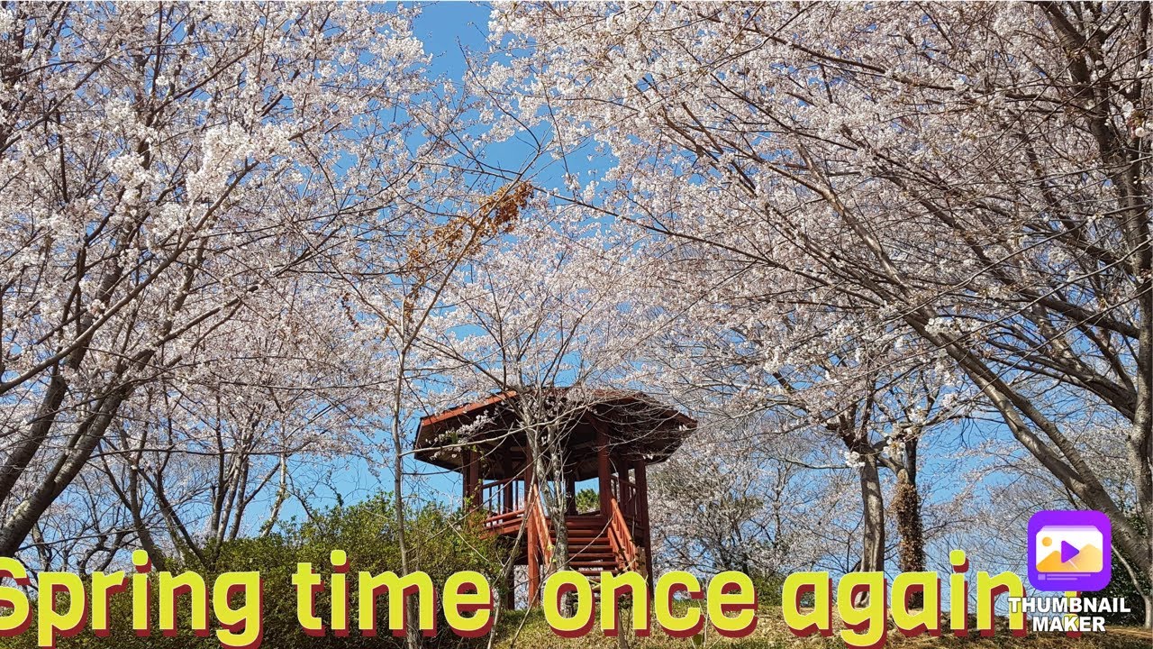 Its Spring Time Once Again - YouTube