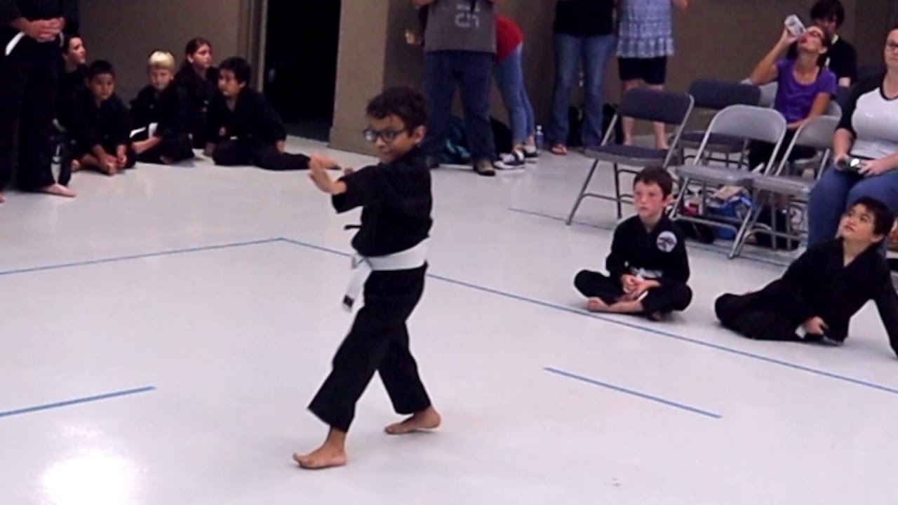 Sawyer Taikyoku Circle Block Ronin Goju Ryu Karate Tournament Kata ...