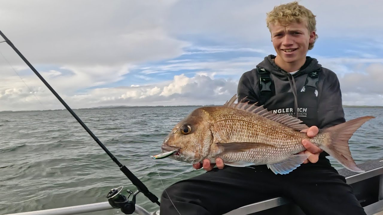 Throwing Lures Into Trees To Catch Fish! ( Mangrove Snapper ) - YouTube