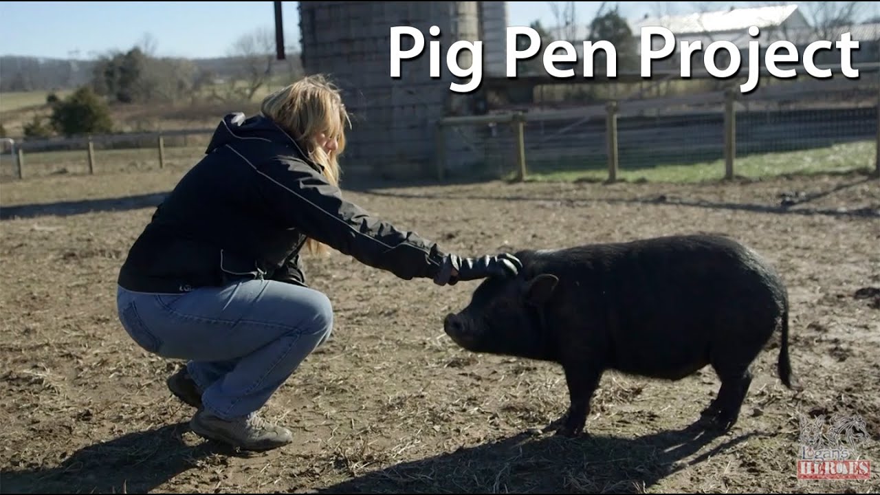 Pig Pen Project - YouTube