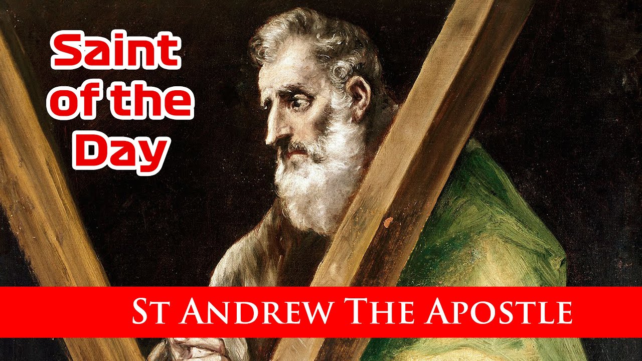 St Andrew The Apostle - Saint of the Day with Fr Lindsay - 30 Nov 2022 ...