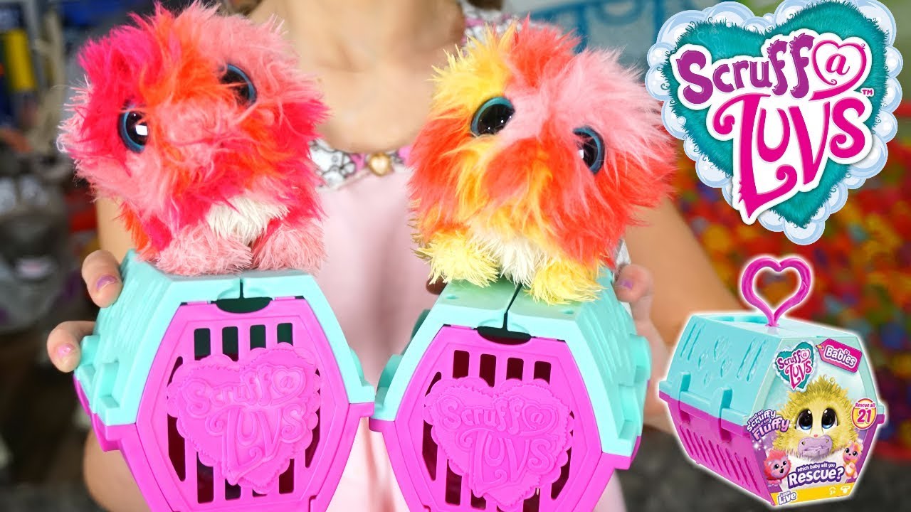New Mini Baby Scruff a Luvs Cute Pets with Carry Case! Scruffy and ...