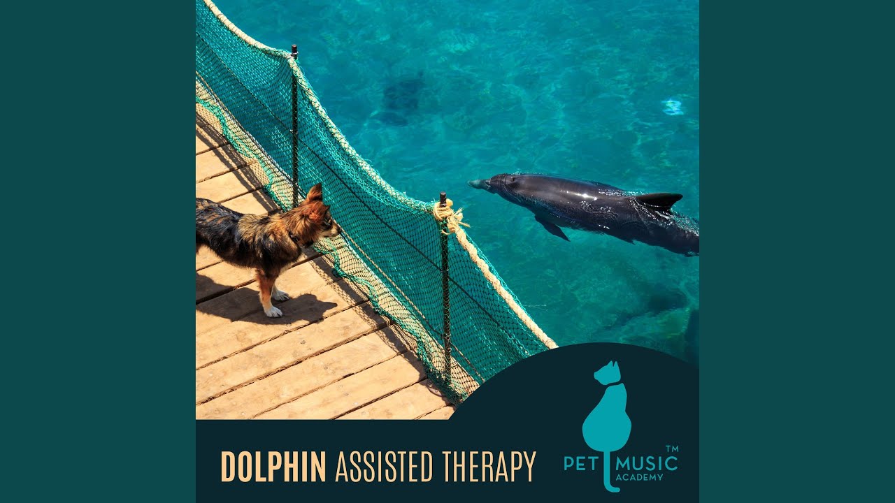 Healing Songs of Dolphins - YouTube
