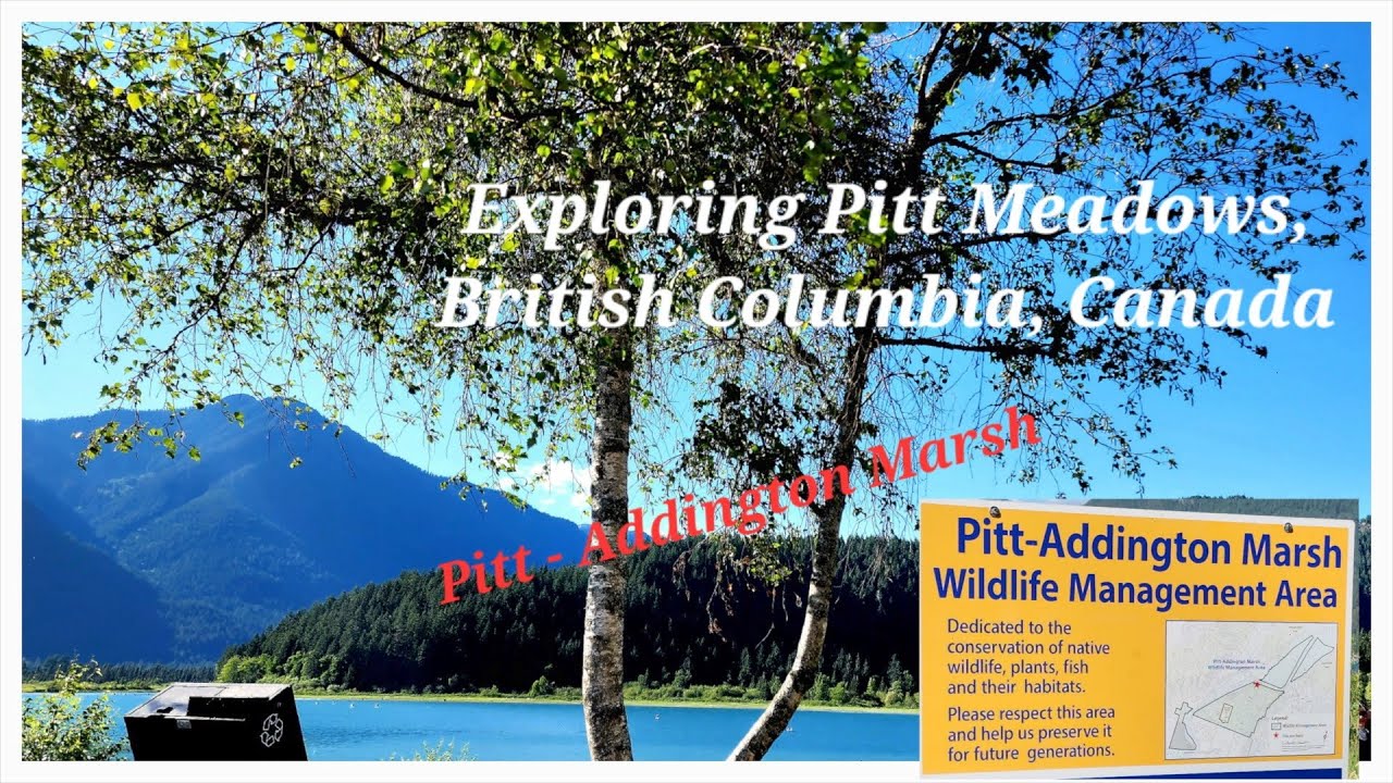Exploring Pitt Meadows, B.C, Canada Part 2 | Road Trip #nature # ...