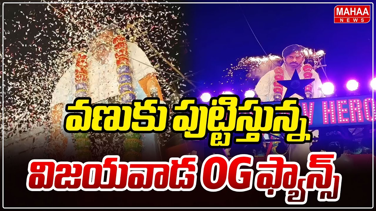 VIjayawada Public Talk On OG | వణుకు పుట్టిస్తున్న విజయవాడ OG ఫ్యాన్స్ ...
