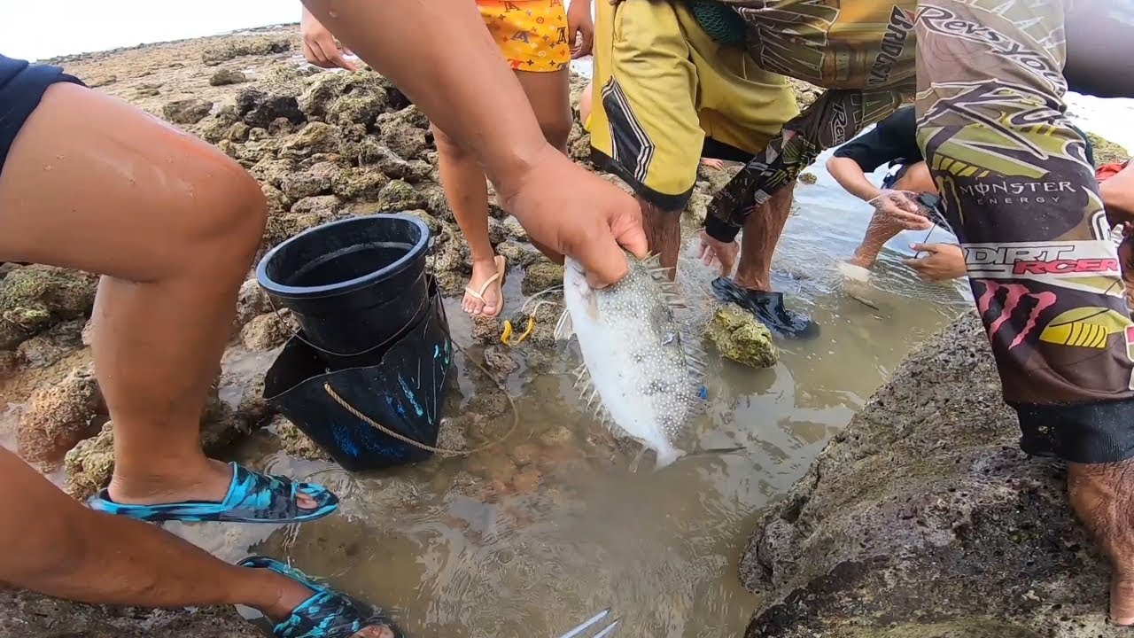 Ang daming isda pag low tide | FISHING IN PHILIPPINES - YouTube
