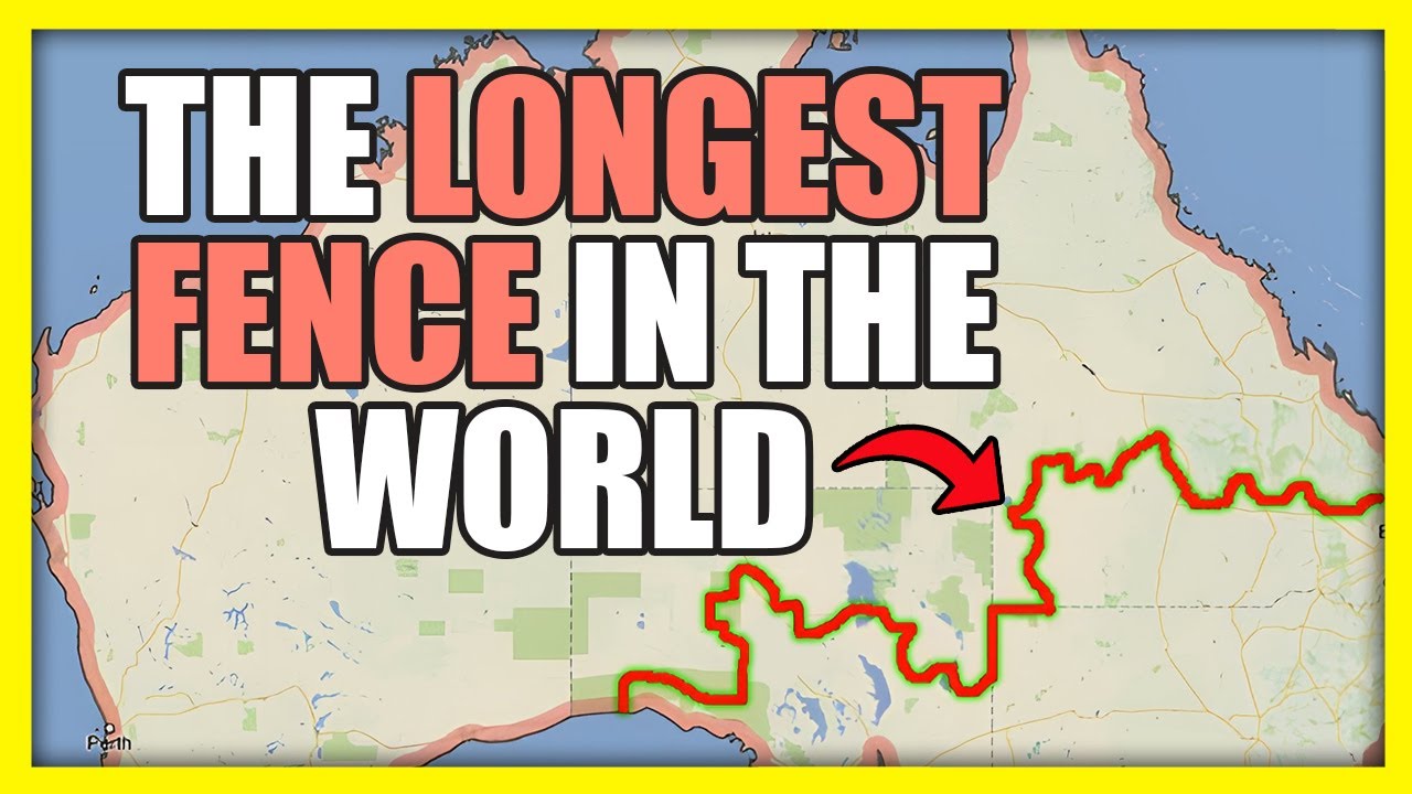 The Crazy Story Behind Australia’s Giant Dingo Fence - YouTube
