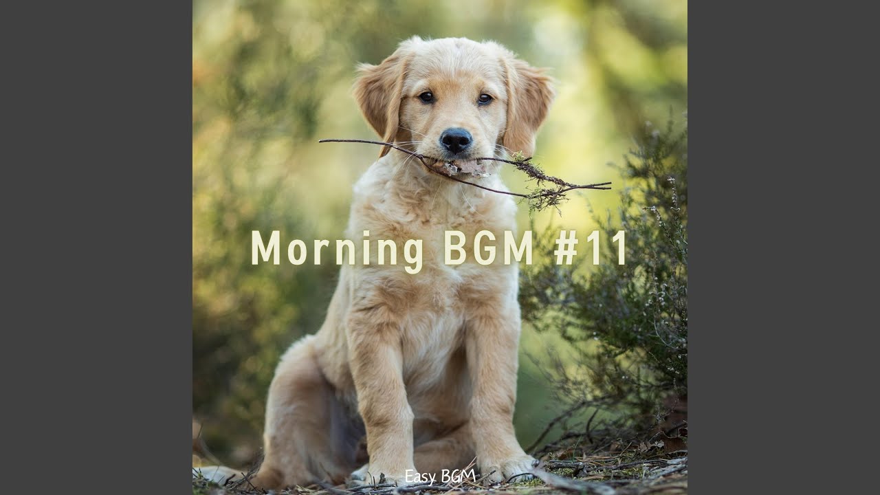 Comfortable Scene - YouTube