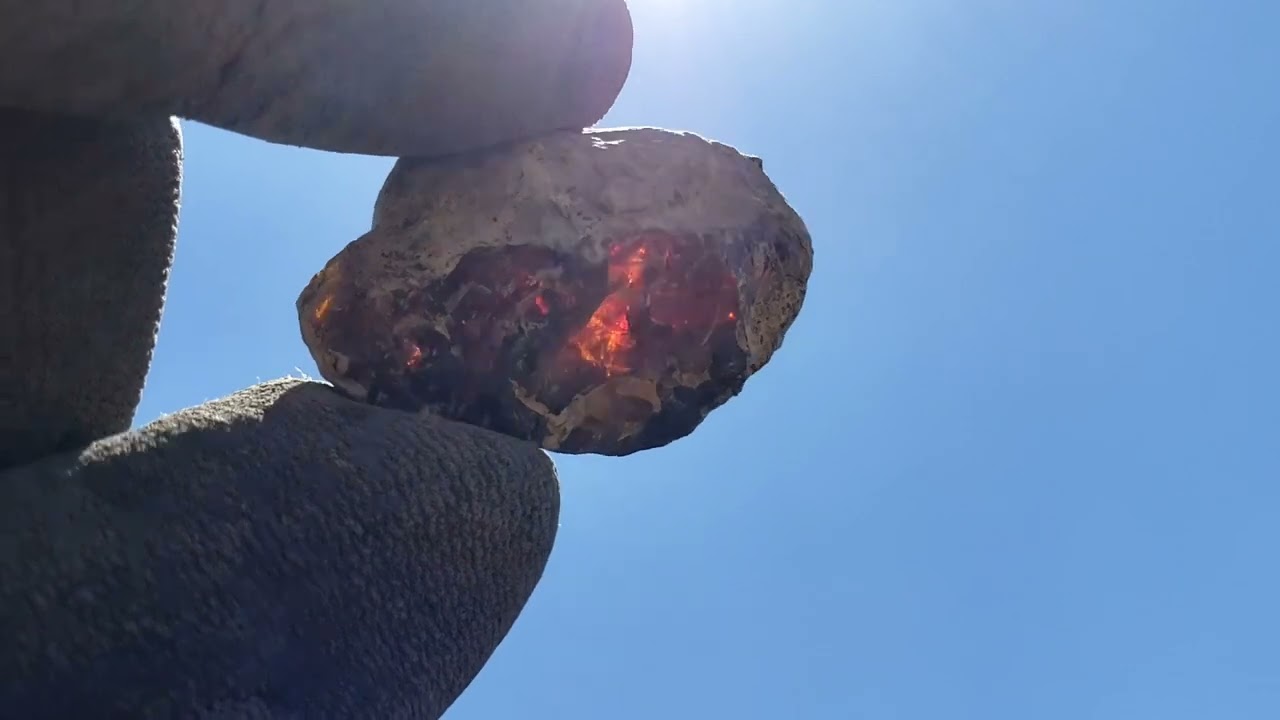 Fossil Amber Nodule Recovered at the "Glory Hole" Lignite Deposit - YouTube
