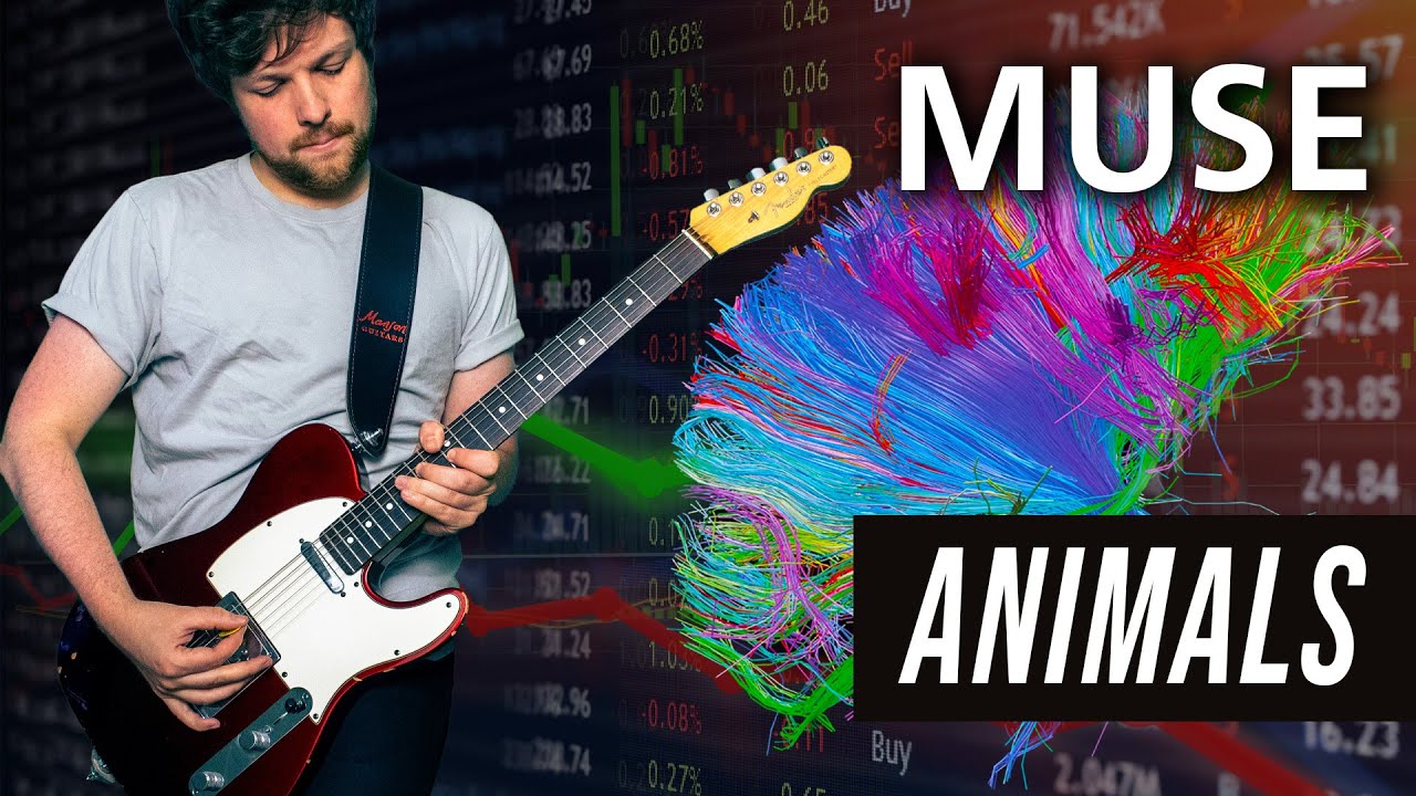 Animals - Muse | Full Cover - YouTube