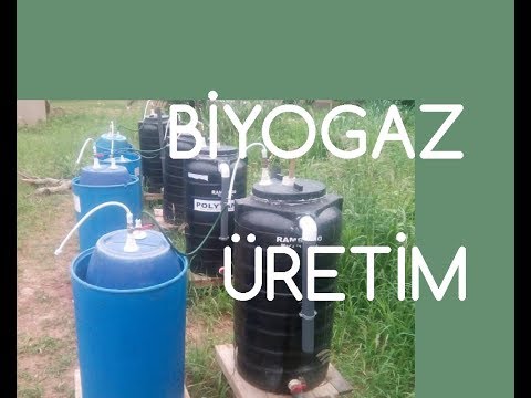 Biyogaz Üretimi Nasıl Yapılır Nedir Evde