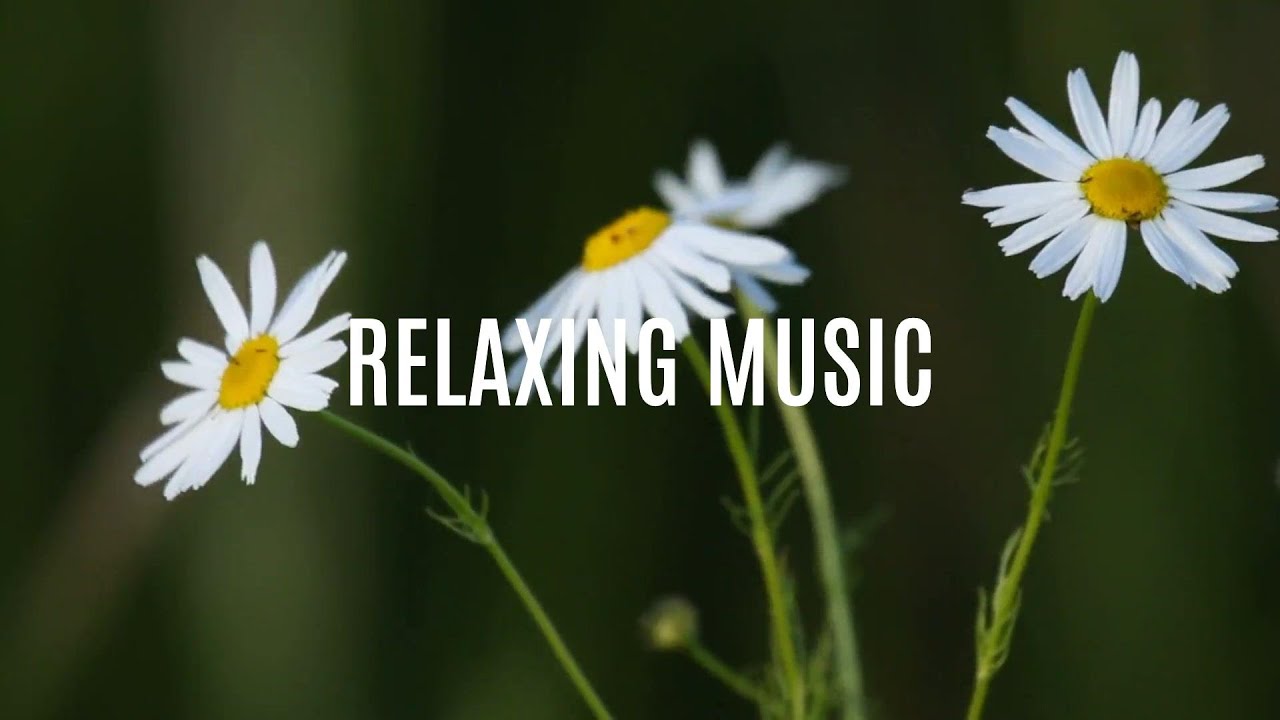 Time Alone With God 3 Hour Peaceful Meditation And Prayer Music Youtube