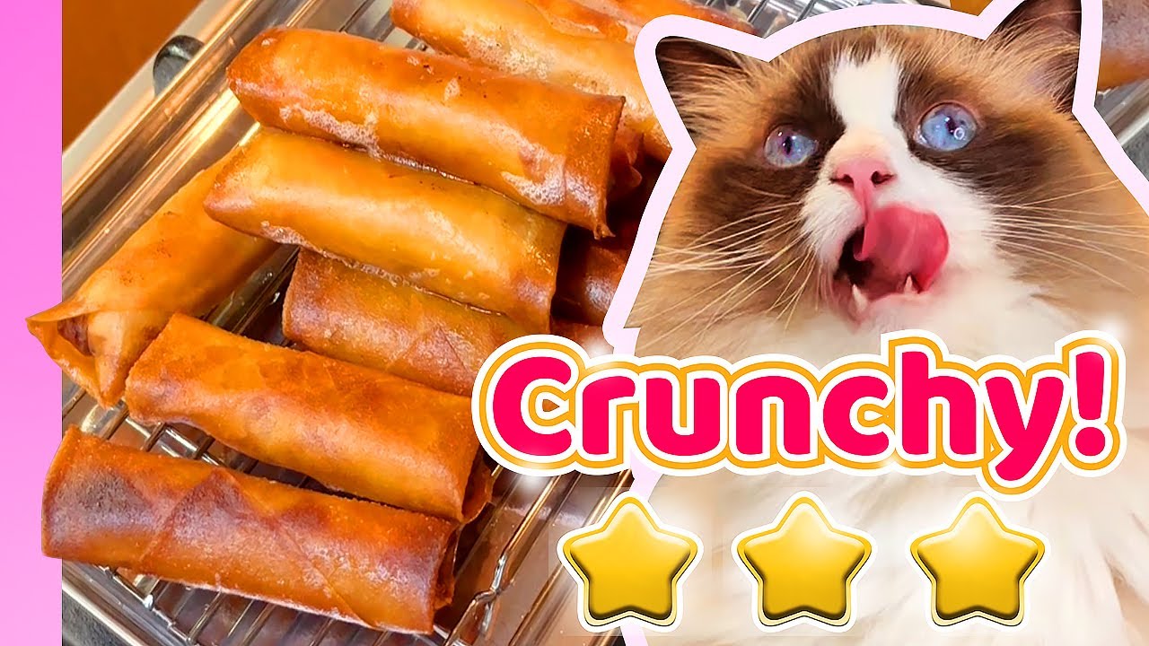 Making CRUNCHY Lumpiang Shanghai With My Cat Luna - YouTube