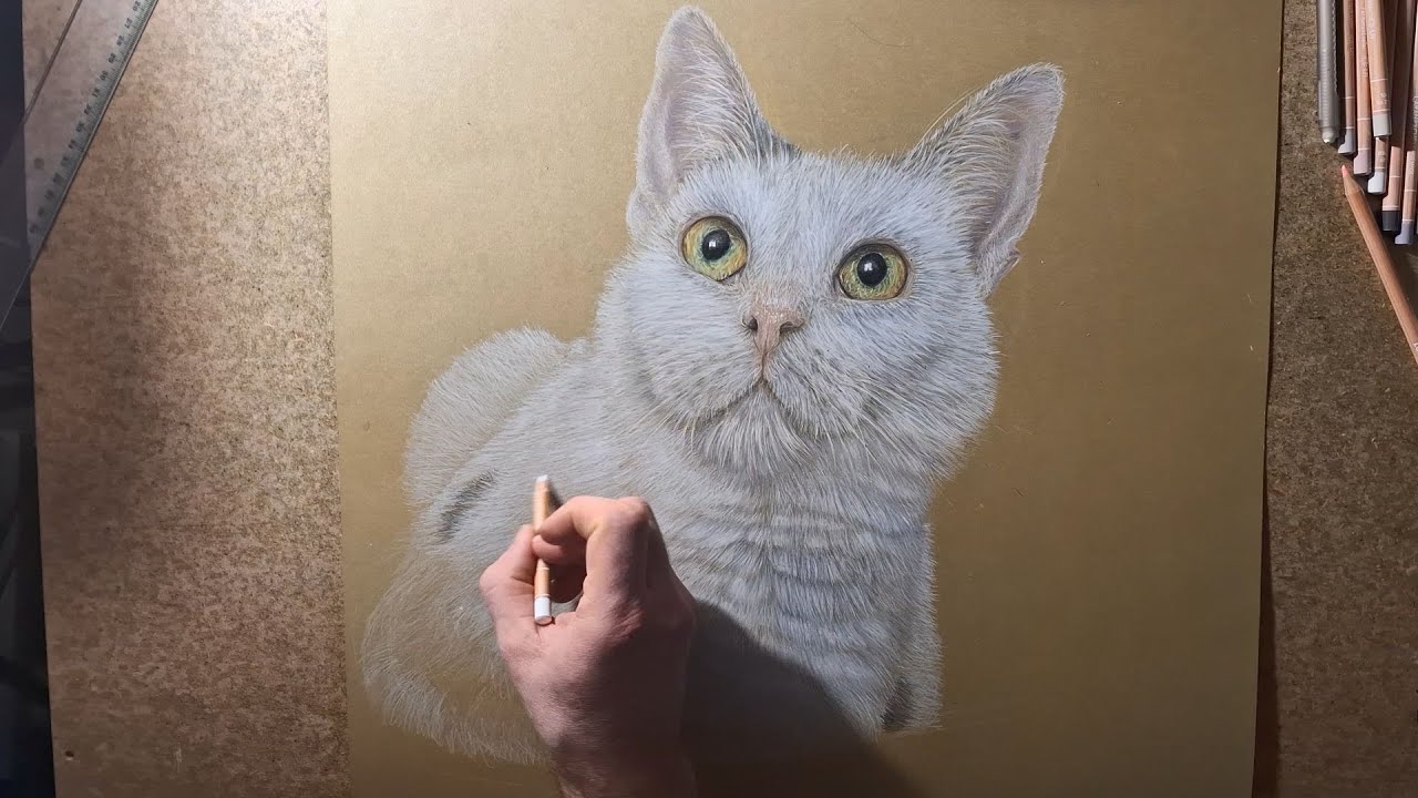 Colour pencil drawing - Nono cat - YouTube