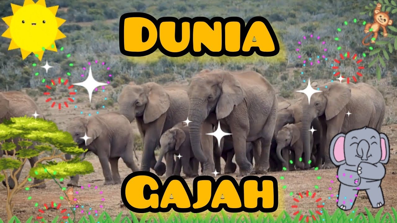 🐘 🐘 Menjelajahi Dunia Gajah 🐘🐘 - YouTube
