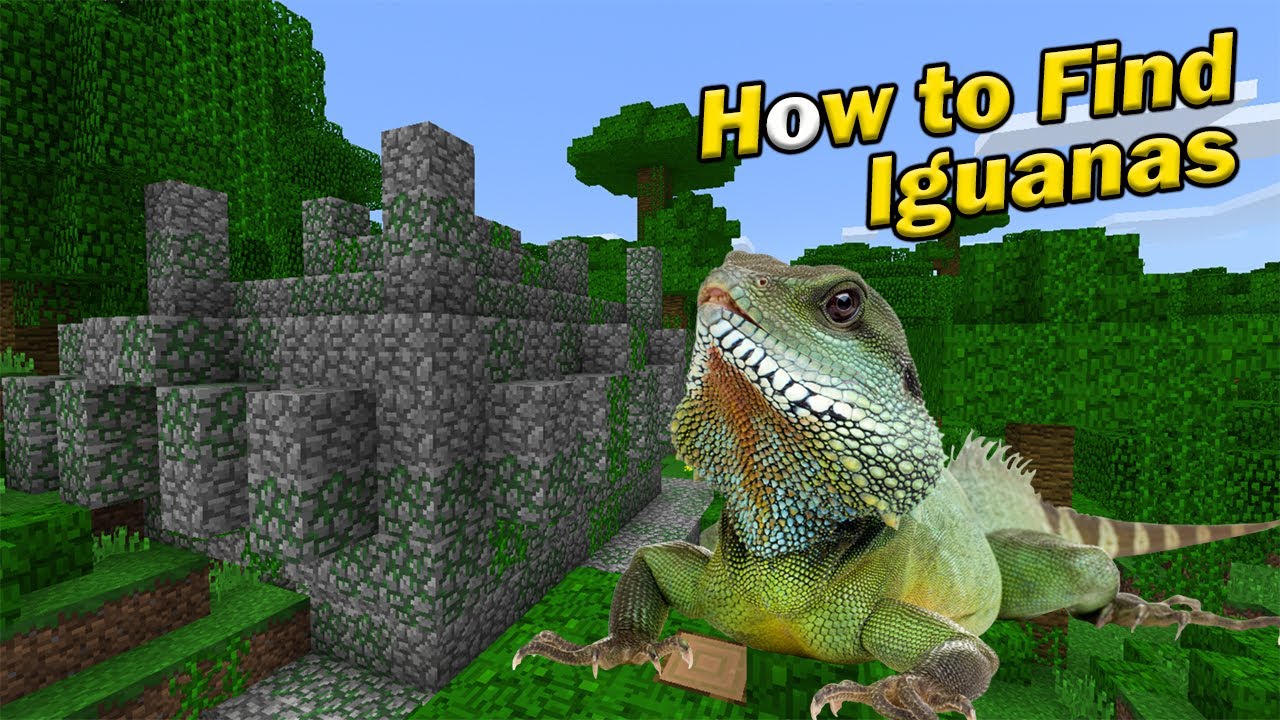 HOW TO FIND IGUANAS | Minecraft PE - YouTube