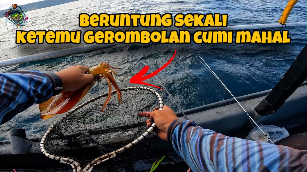 ‼️RAME BANGET‼️ SENSASI MANCING CUMI MANIS DENGAN ROD LENTUR DEPAN ...