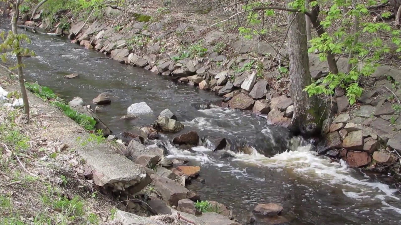 Scenes of the Seasons Wellington Park - Spring - YouTube