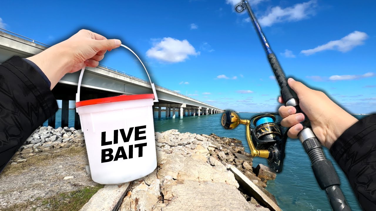 Eating Whatever I Catch.. Fishing a NEW Spot (Catch and Cook) - YouTube