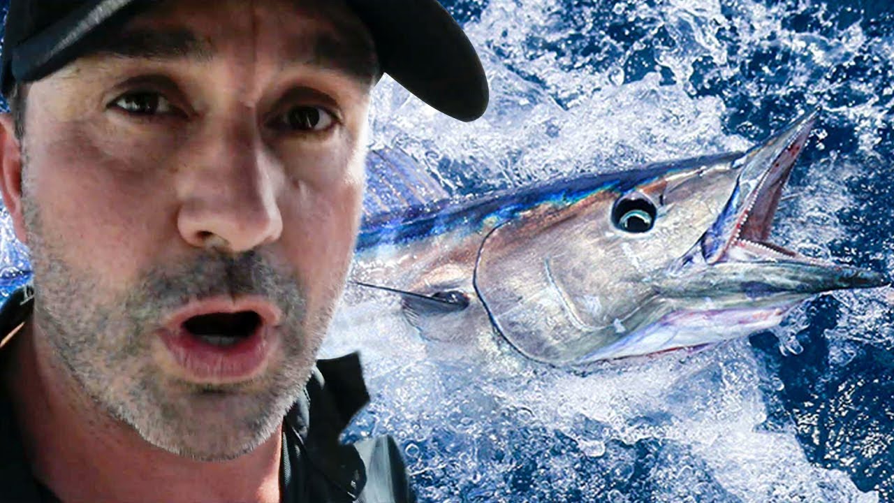 LE POISSON LE PLUS DANGEREUX DE LA PLANÈTE ? - Cyril Chauquet - YouTube