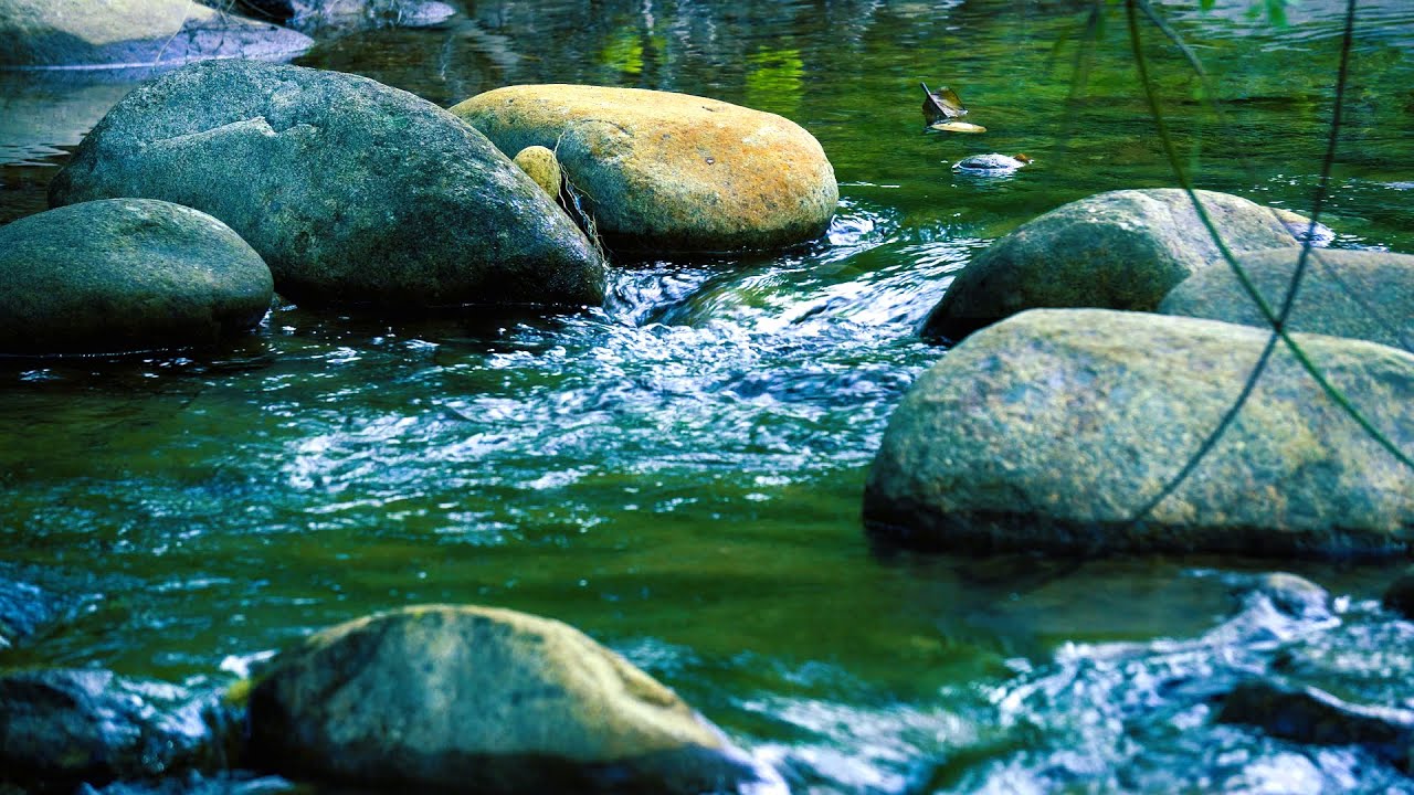 Water Sounds Bubbling | Stream Sounds Babbling Brook | Experience Pure ...
