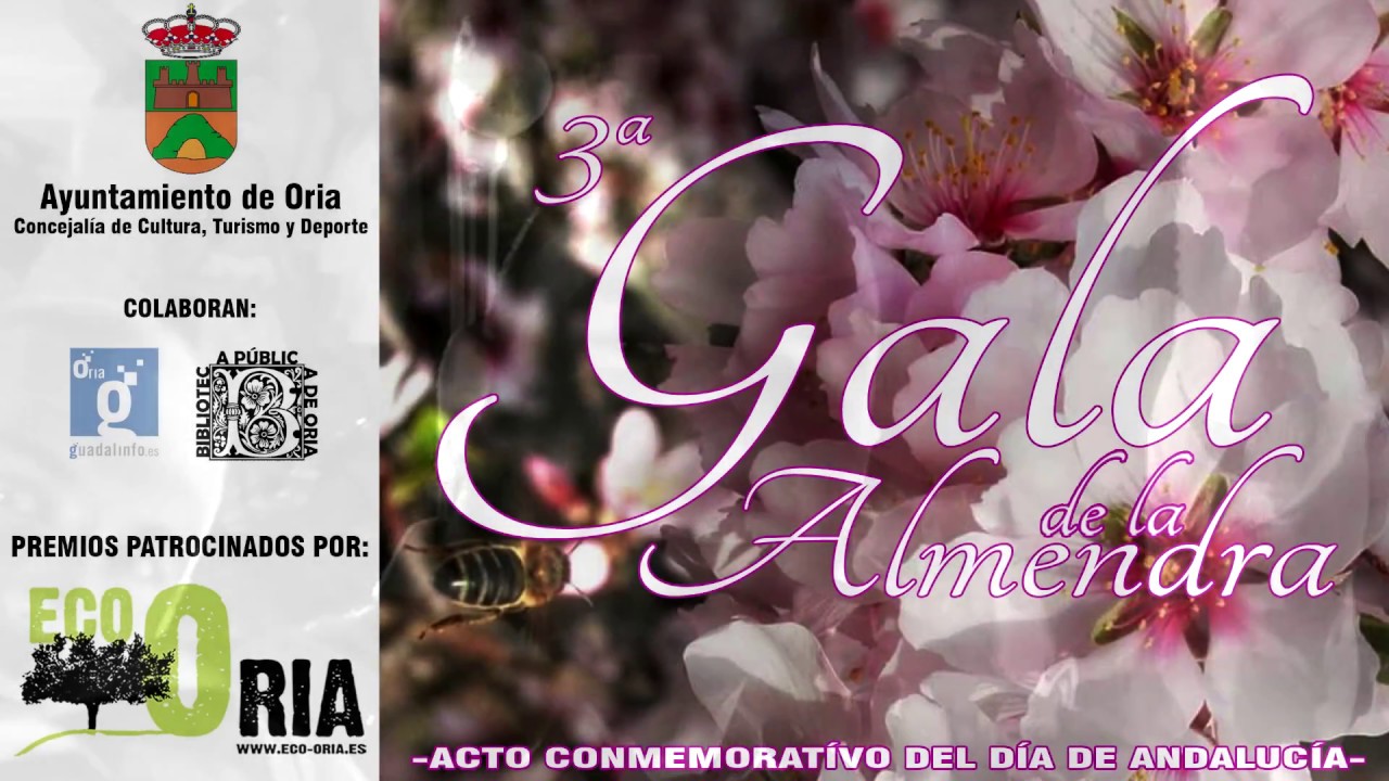 Onofre, III Gala de la Almendra Oria 2018 - YouTube